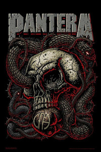 Poster Pantera Sl-16241 (Large Poster, 36x24 Inches, Banner Media) Fine ...