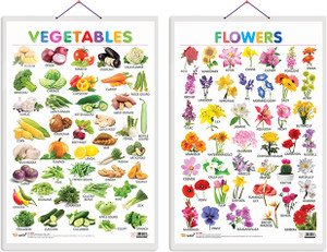 Set of 2 Vegetables and Flowers Early Learning Educational Charts for ...