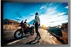 Pubg Game Frame Poster For Room Synthetic Wood Gloss Lamination F16 ...