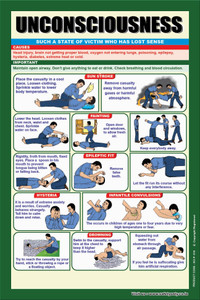 Unconsciousness First Aid Safety Poster – 36x24 Inches | Emergency Care ...