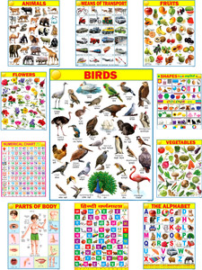 All in One Multicolored Educational Charts for Kids | Learn about ...