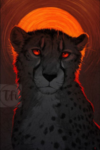 Wildlife Cheetah Poster | Jungle Cheetah Posters for Room | Unframed ...