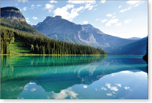 Nature Wall Poster 3M Double Sided Tape Wall Design High Resolution ...