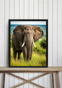 Elephant Poster Photographic Paper - Artelier Designs posters - Nature ...