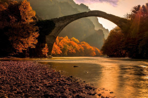 Beautiful background Poster Multicolor Photo Paper Print Poster ...