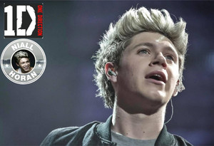 Poster Niall Horan One Direction sl-14836 (LARGE Poster, 36x24 Inches ...