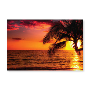 SR Creative Craft Nature Wall Poster for Entrance/Living Room/Office ...