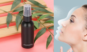 NADJA PERFECT LONG WEAR MAKEUP SETTING SPRAY FOR GIRLS Primer - 100 ml ...