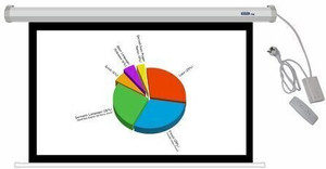 EMERGING SOLUTIONS ESMPS 4x6 Feet Projector Screen (Width 180 cm x 120 ...