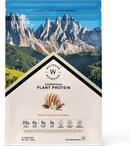 Wellbeing Nutrition Organic Vegan Plant Protein Isolate Powder, Pea ...