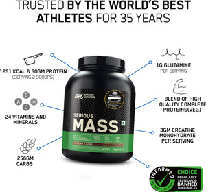 Optimum Nutrition ON Serious Mass High Protein with Vitamins and ...