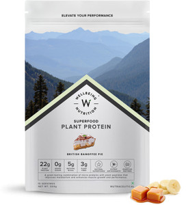 Wellbeing Nutrition Organic Vegan Plant Protein Isolate Powder, Pea ...
