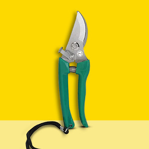 10club Hand Pruner Cutter (Heavy Duty Gardening Tool, Plant Cutter for ...