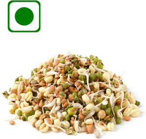 Hubmeal Mix Sprouts (Whole) Price in India - Buy Hubmeal Mix Sprouts ...
