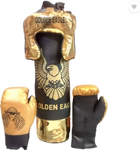 TBP Premium Golden Eagle for Kids for the Age (3-7)Years- Unleash your ...