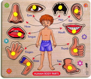 Mira Farmcraft Human Body Part Wooden Jigsaw Puzzle Board Game for Kid ...