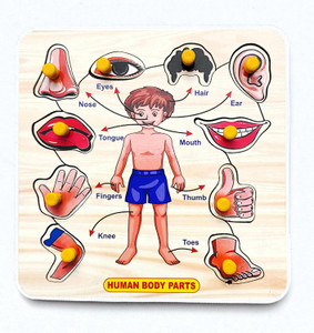 EL SMO Wooden Body Parts Puzzle Games and Learning Educational Board ...
