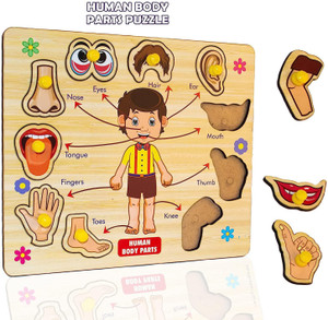 Plus Shine Wooden Human Body Parts Puzzle with Knobs,Educational and ...
