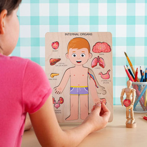 Plus Shine Learning Human Body Anatomy Puzzle Montessori Internal ...