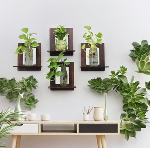 Sage Wooden Wall Shelf Art Hanging Decor for Wall Decoration_S37 Price ...