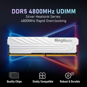 KINGBANK Heatsink Gaming Memory DDR5-Silver Heatsink Series 4800MHz ...