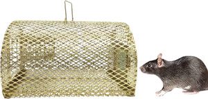 PVX1 Rat trap chuha pinjra /Mouse/Rodent Small Iron Trap/Catcher Cage ...