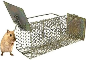 Salesforce Rat, Rodent, Mouse Trap/Catcher Iron Big Size - (Pack of 1 ...