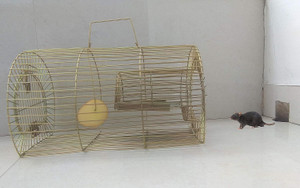 Shafz wood gallery Pinjra for Rat, Mouse and Mice Rat Catcher Cage Made ...