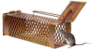 udayog RAT pinjra,Rat/Mouse/Rodent control Small Iron Trap/Catcher Cage ...