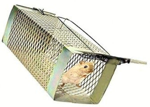 Salesforce Rat, Rodent, Mouse Trap/Catcher Iron Big Size - Live Trap ...