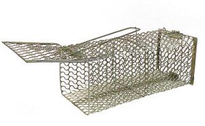 SAVIMART Rat Trap Cage Iron Gold Colour Bars Design Heavy Quality rust ...