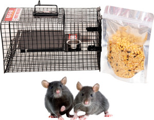 PMG PERFECT MAKERS GROUP PMG® Rat Trap Cage with Rat Food | Multiple ...