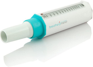 SMIC Breathe O Meter Peak Flowmeter - Adult Respiratory Respiratory ...