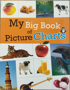 My Big Book Of Picture Charts For All Children, Kids | Colourful ...