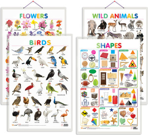 GO WOO Pack of 4 Wild Animals, Birds, Flowers and Shapes Charts Price ...