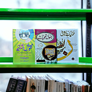 Rizvi Taweez Urdu 3 Books Combo Offer Pack: Buy Rizvi Taweez Urdu 3 ...