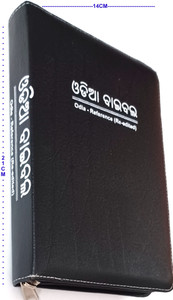Holy Bible Odia Medium Size: Buy Holy Bible Odia Medium Size by BIBLE ...