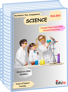 Class 8th Social, Science And Maths Topic Wise Test Series With ...