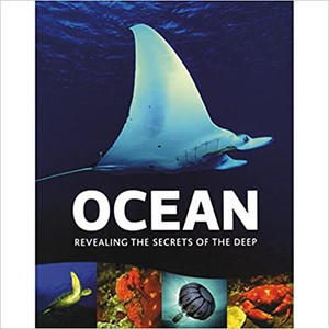 Ocean Revealing The Secrets Of The Deep: Buy Ocean Revealing The ...