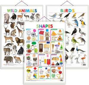 Set of 3 Wild Animals, Birds and Shapes Early Learning Educational ...