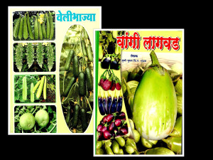 Veli Bhajya , Vangi Lgavad: Buy Veli Bhajya , Vangi Lgavad by JKP at ...