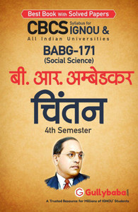 BABG-171 Understanding B.R. Ambedkar: Buy BABG-171 Understanding B.R ...