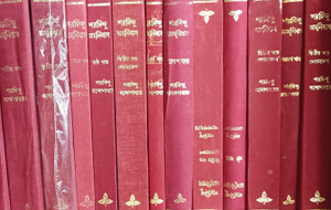 Sharadindu Amanibas Vol.1 To 12 Set: Buy Sharadindu Amanibas Vol.1 To ...