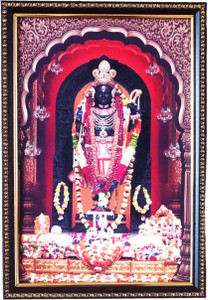 SujArta Ayodhya Ram, Bal Ram, Bala Rama, Ram Lalla Idol Photo, (Medium ...