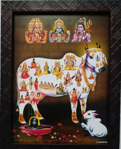 VGS MARKETINGS Gomatha Kamadhenu Gau Mata Religious Frame Price in ...