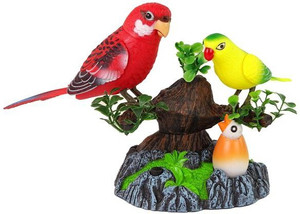 Dherik Tradworld Electric Battery Operated Control Voice-Parrots, Cute ...