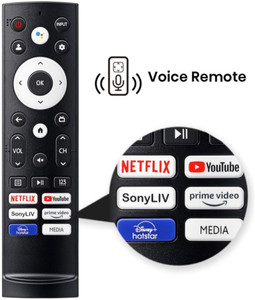 miracles in hand ERF3T90H Voice Remote Compatible with Smart 4K LED TV ...