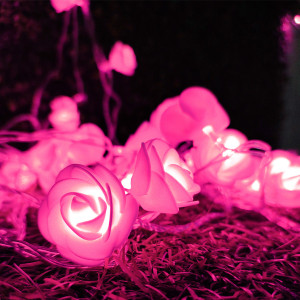 NISCO 20 LEDs 4.1 m Pink Steady String Rice Lights Price in India - Buy ...