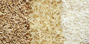 SMD TRADERS NO 1 KURNOOL SPESAL SONA MASOORI WHITE RICE 10 KG Sona ...