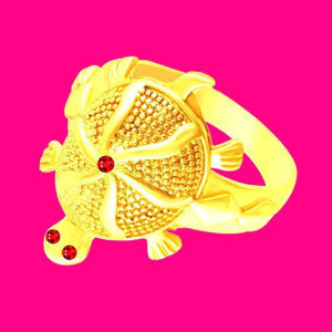 Dynamic Retail Global Tortoise Turtle Kachua Meru Ring for Men Women ...